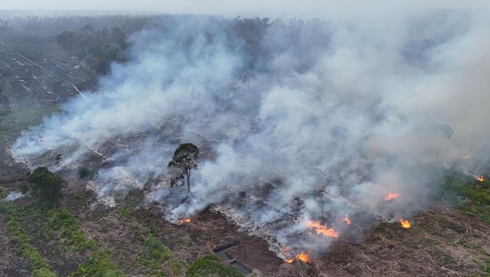 Karhutla di Nagan Raya Meluas, 90 Hektare Lahan Gambut Terbakar