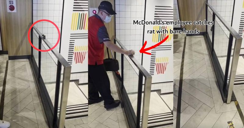 Tangkap Tikus dengan Tangan Kosong, Aksi Pegawai McD Ini Viral