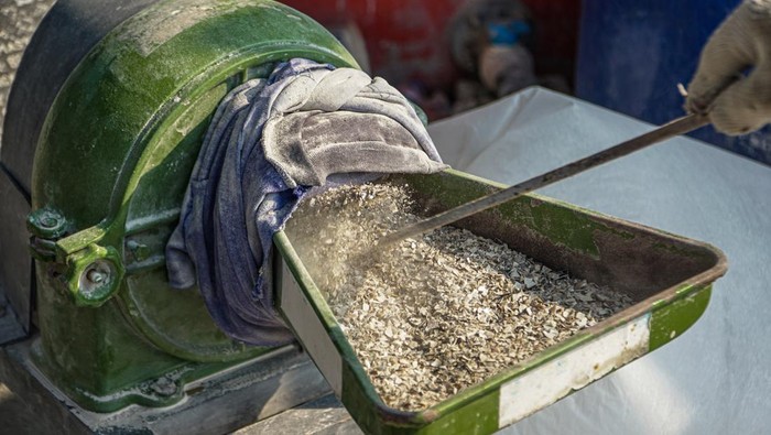 Dari Sampah Jadi Berkah, Cangkang Kerang Hijau Disulap Jadi Paving Block