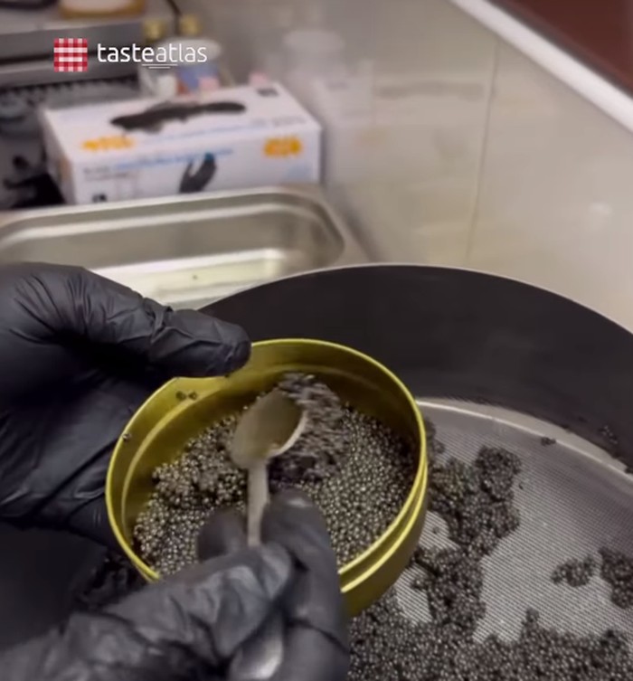 Begini Proses Panen Caviar Sebelum Dijual dengan Harga Selangit