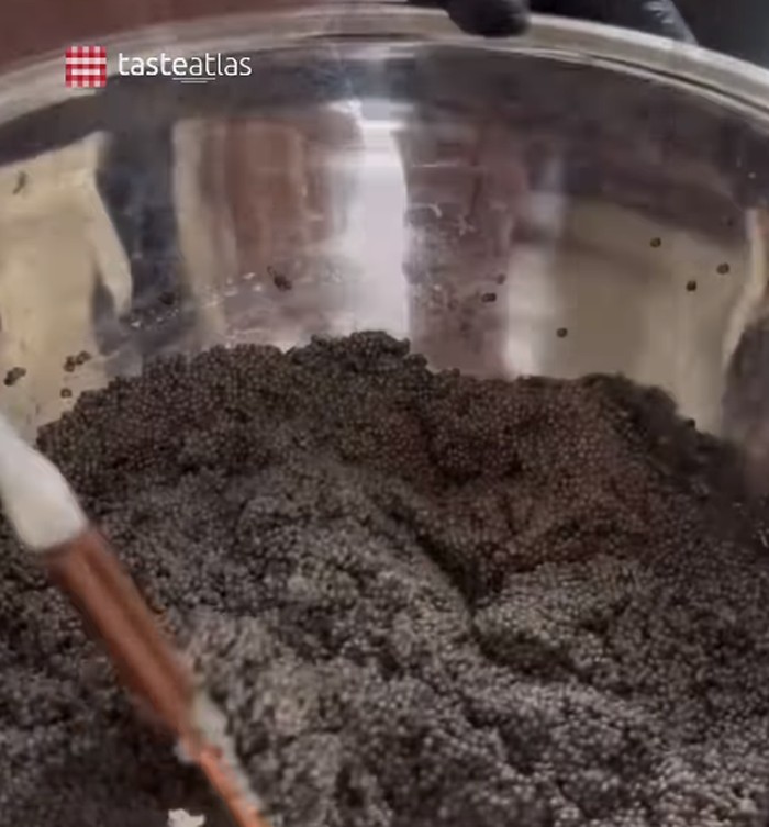Begini Proses Panen Caviar Sebelum Dijual dengan Harga Selangit