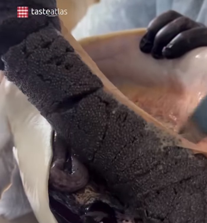 Begini Proses Panen Caviar Sebelum Dijual dengan Harga Selangit