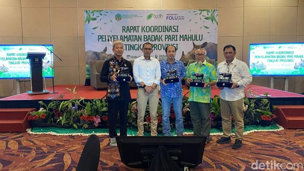 Badak Kalimantan Perlu Translokasi, Jadi Langkah Darurat Selamatkan Genetik