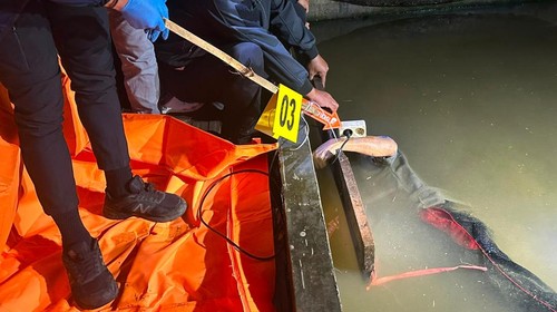 Pria 60 Tahun di Bangli Tewas di Kolam Lele, Tubuhnya Ditemukan Kaku