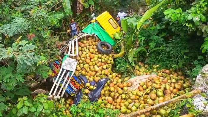 Pilu Sopir Truk Kelapa Terjun ke Sungai di Sukabumi, Terluka-Gigi Rontok