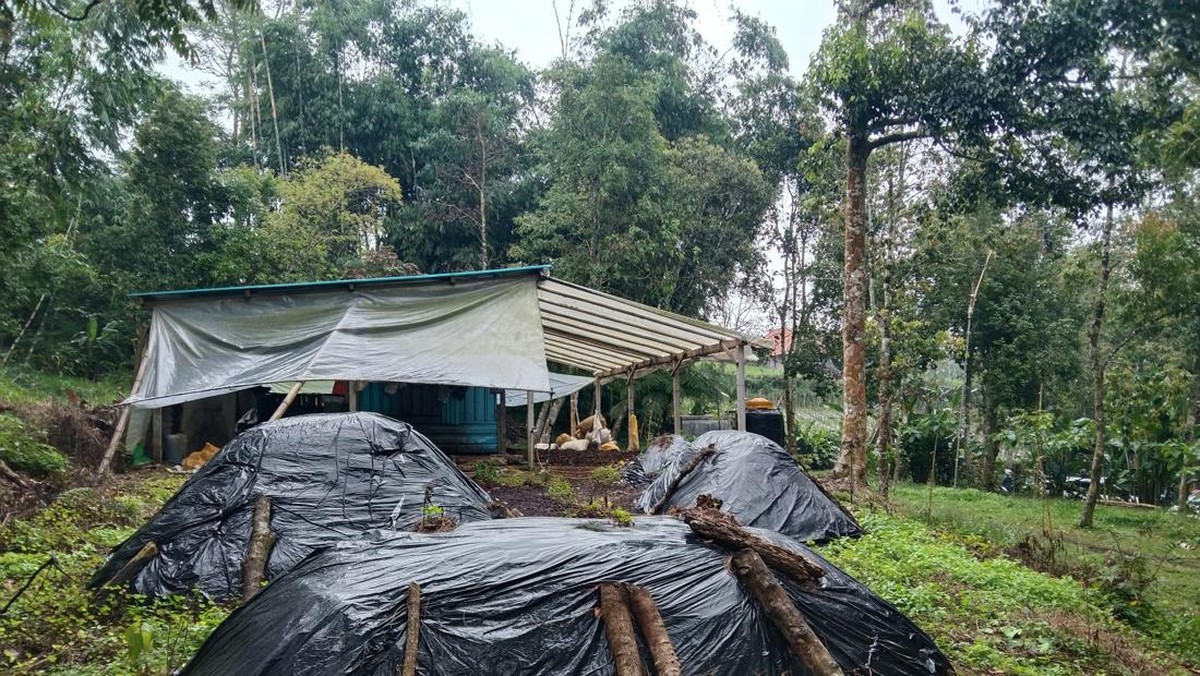 Mengolah Daun-daun Gugur Jadi Kompos