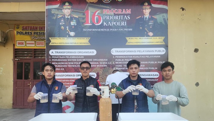 Gudang Benih Lobster Ilegal di Lampung Digerebek, 9.000 Ekor Disita