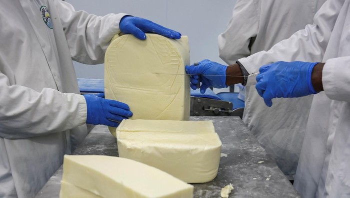 Dari Balok hingga Keju Parut, Intip Proses Produksi Keju Skala Industri ...