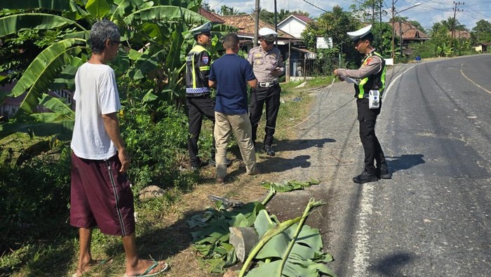 Kronologi Satu Keluarga Tewas Usai Tertabrak Truk di Ogan Ilir