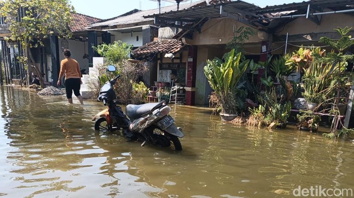 Sebulan Terendam Rob, Warga Tunggulsari Pati Butuh Bantuan Logistik
