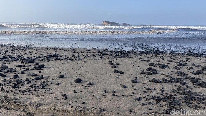 Tumpahan Batu Bara Cemari Pantai Pangandaran, Habitat Penyu Terancam!