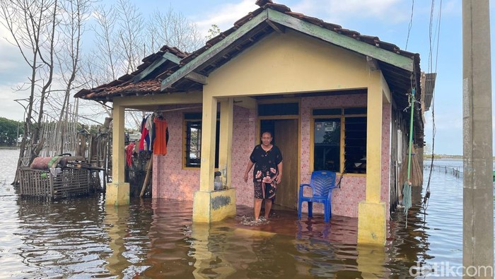 Sebulan Banjir Rob Rendam Permukiman, Warga Tunggulsari Pati Gatal-gatal