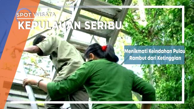 Menikmati Keindahan Pulau Rambut Kepulauan Seribu dari Ketinggian ...