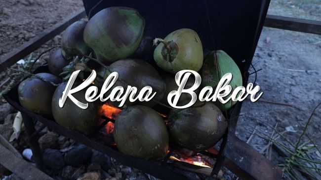 Sensasi Kelapa Bakar, Minuman Raja Aceh yang Menyehatkan Sensasi Kelapa Bakar, Minuman Raja Aceh yang Menyehatkan