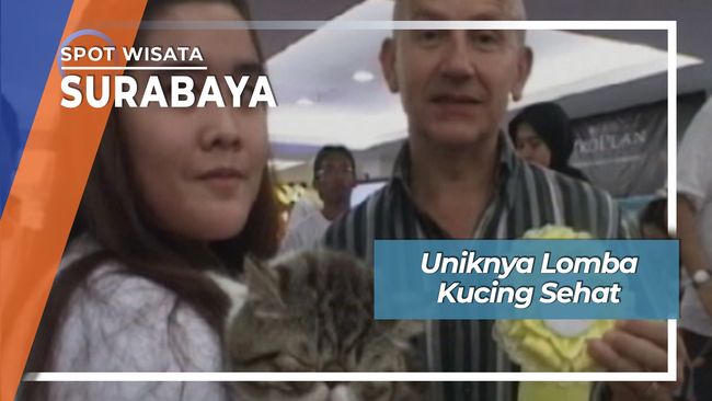 Lomba Kucing Sehat, Surabaya