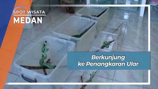 Berkunjung ke Penangkaran Ular, Medan