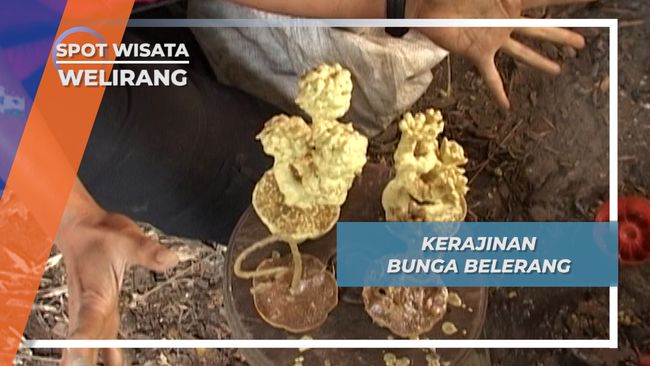 Kerajinan Bunga Belerang, Welirang