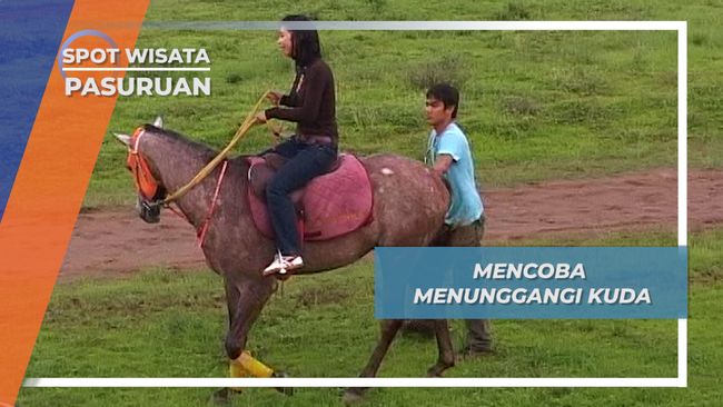 Belajar Menunggangi Mata Dewa, Kuda Tretes Pasuruan Jawa Timur