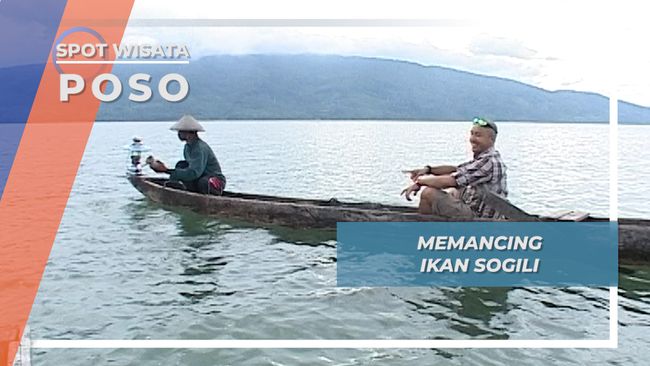 Memancing Ikan Sogili, Ikan Besar Asli Danau Poso, Sulawesi Tengah