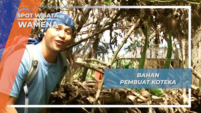 Labu, Bahan Dasar Pembuatan Koteka, Wamena