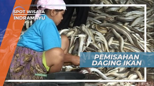 Pabrik Kerupuk Indramayu, Mendatangkan Ikan Remang Dari Berbagai Daerah