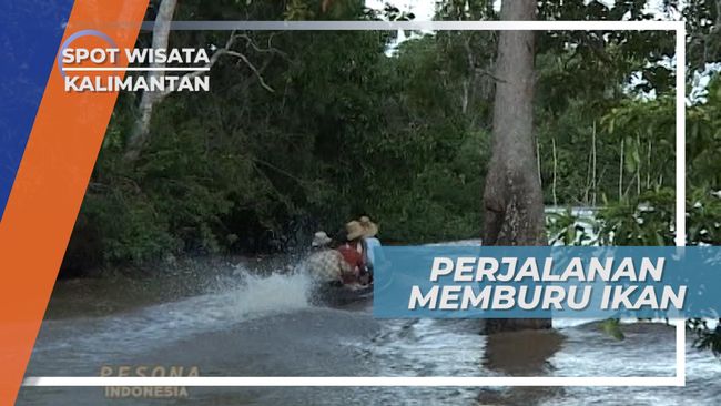 Menuju Sungai Kali Paminggir, Berburu Ikan Bersama Warga Desa Sapala ...