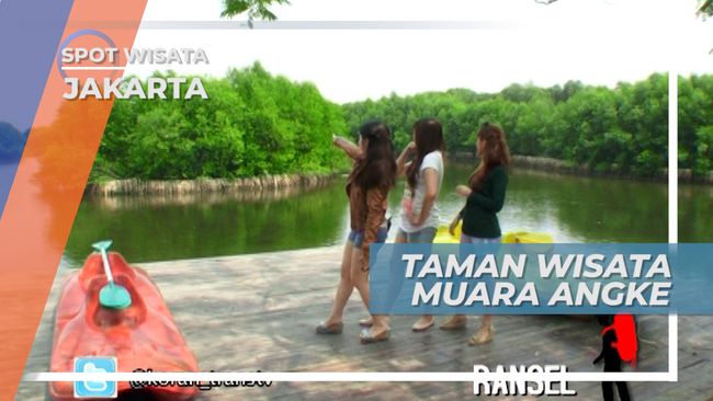 Wisata Perahu di Hutan Mangrove Muara Angke Jakarta