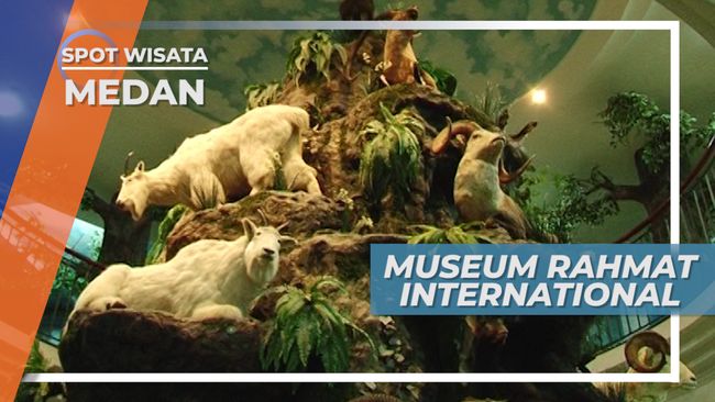 Museum Rahmat International, Nuansa Hewan Alam Liar Medan