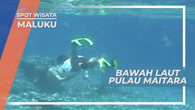 Crystal Clear Water, Pemandangan Bawah Laut Pulau Maitara Maluku Utara