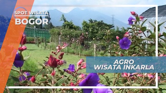 Agrowisata Inkarla, Berlibur di Kawasan Hijau dan Asri, Bogor