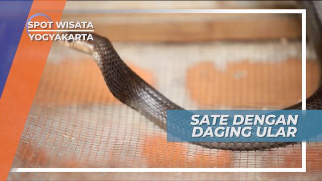 Sate Daging Ular Kobra dari Yogyakarta