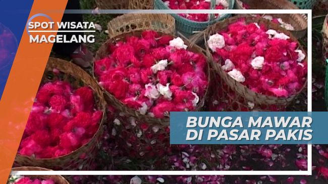 Bunga Mawar Cantik di Pasar Pakis, Magelang