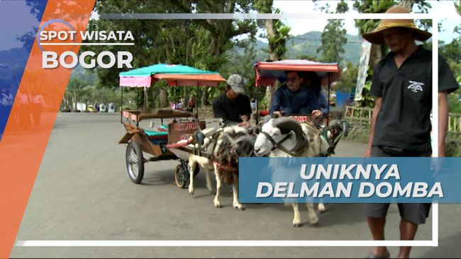Berkeliling Taman Wisata Keluarga Dengan Naik Delman Domba, Bogor