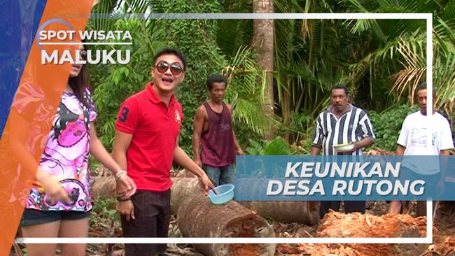 Ulat Sagu Desa Rutong, Desa dengan Pohon Sagu Terbanyak di Pulau Ambon ...