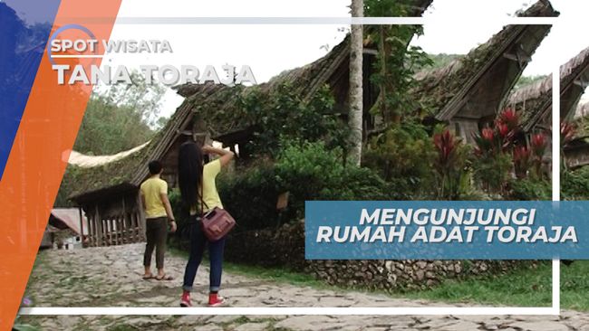 Tongkonan, Rumah Adat Toraja yang Penuh Makna di Desa Buntao