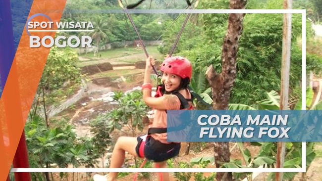 Taklukkan Ketinggian, Meluncur Seru Bermain Flying Fox, Bogor