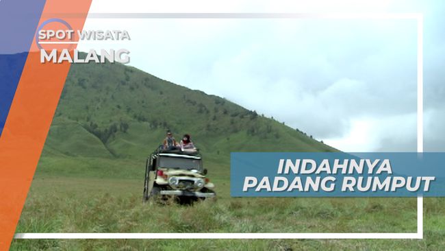 Hamparan Luas Padang Rumput yang Indah, Malang