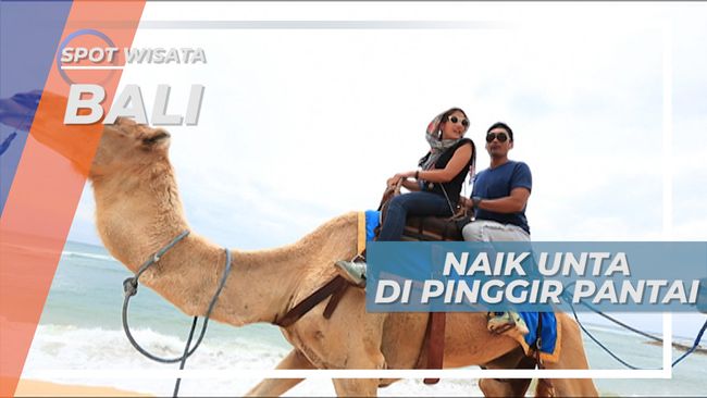 Menunggangi Unta di Pasir Pantai Klan Nusa Dua Bali