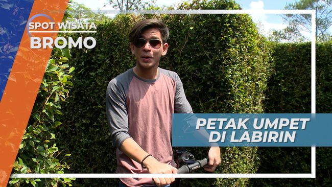 Taman Labirin, Cocok Dijadikan Tempat Petak Umpet, Bromo