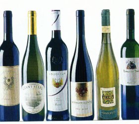 Kelas Pemula WINE XP: WINE 101