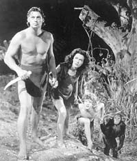 Simpanse Tarzan Ultah ke-75