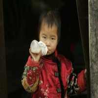Skandal Susu Bayi Melamine di China Kian Menggemparkan