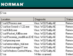 Sality, Virus Komputer Paling Merepotkan di Indonesia