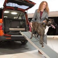 Mobil Khusus untuk Anjing