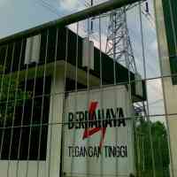 PLN Buka Tender Batubara Kalori Rendah 3,26 Juta Ton per Tahun