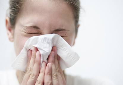 Dari Mana Munculnya Ingus?