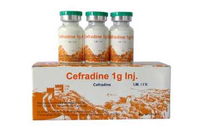 Cefradine