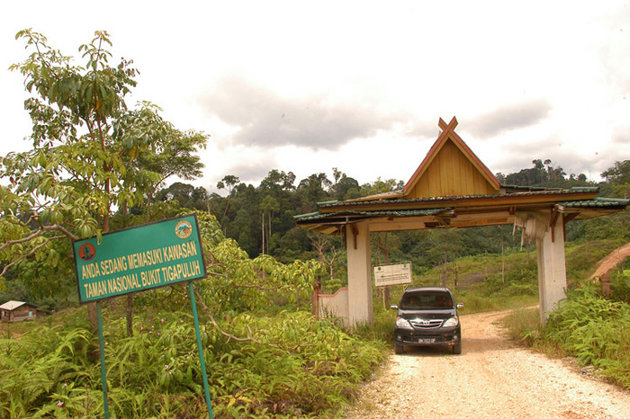 Taman Nasional Bukit Tigapuluh (TNBT)