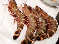 Membersihkan Udang Besar