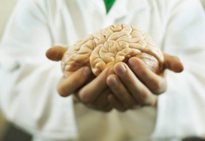 Otak Sangat Rakus akan Oksigen